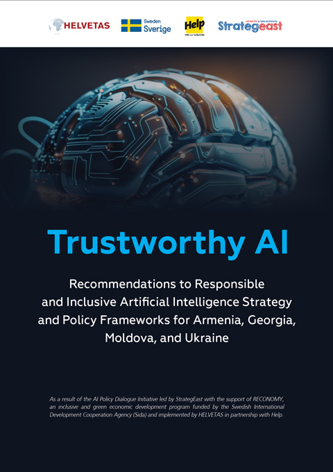 Trustworthy AI: Recommendations for Responsible and Inclusive Artificial Intelligence Strategies ...